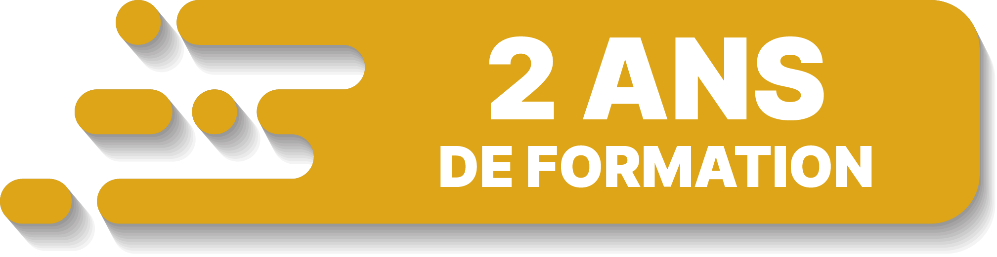 AMS Morocco – 1ère Académie de Formation aux Metiers du Sport et de l’animation